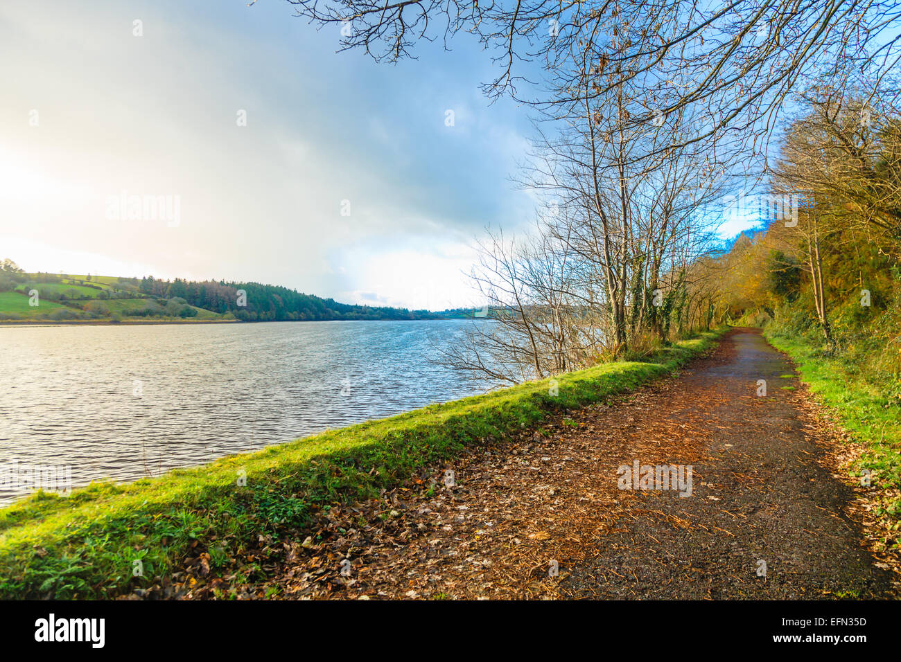 Autumn pathway Co.Cork, Ireland Europe. Beautiful landscape at the ...