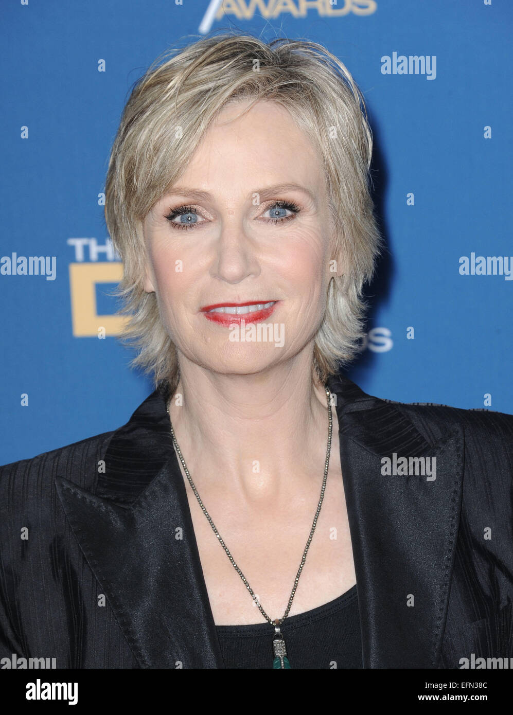 Los Angeles, California, USA. 7th Feb, 2015. Jane Lynch attending the ...