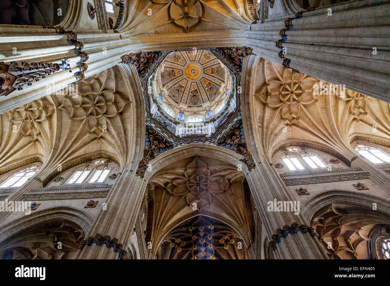 Stone Columns Dome Statues New Salamanca Cathedral Spain Stock Photo ...
