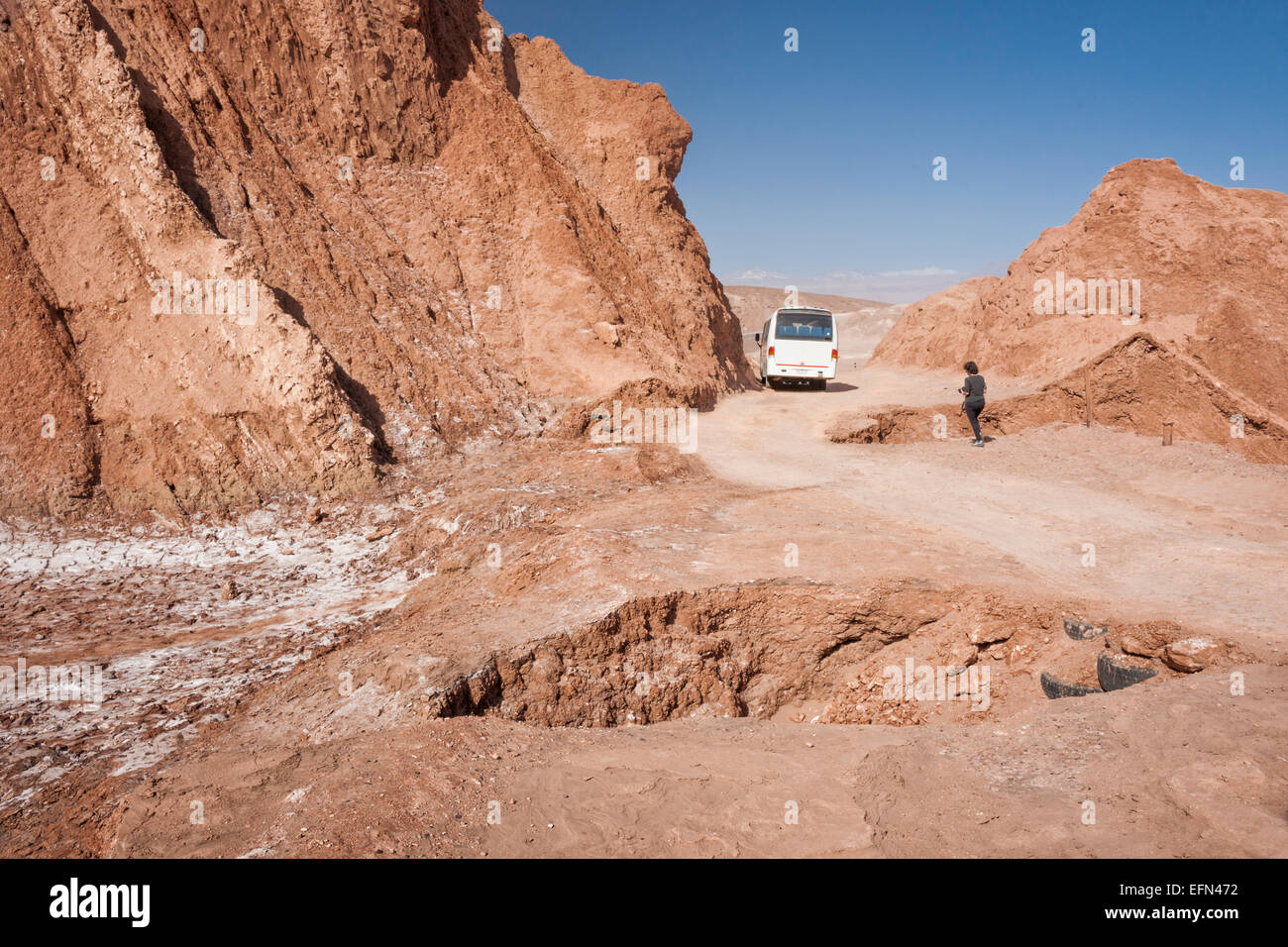 The Hand Of Atacama Giant