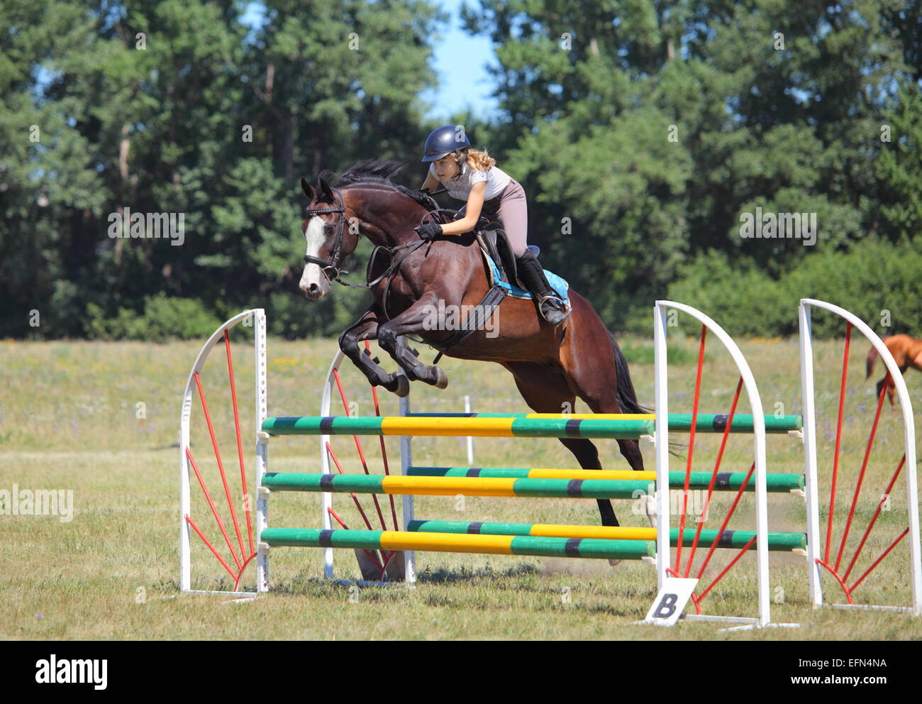 Young equestrian rider jumping over obstacle Stock Photo - Alamy