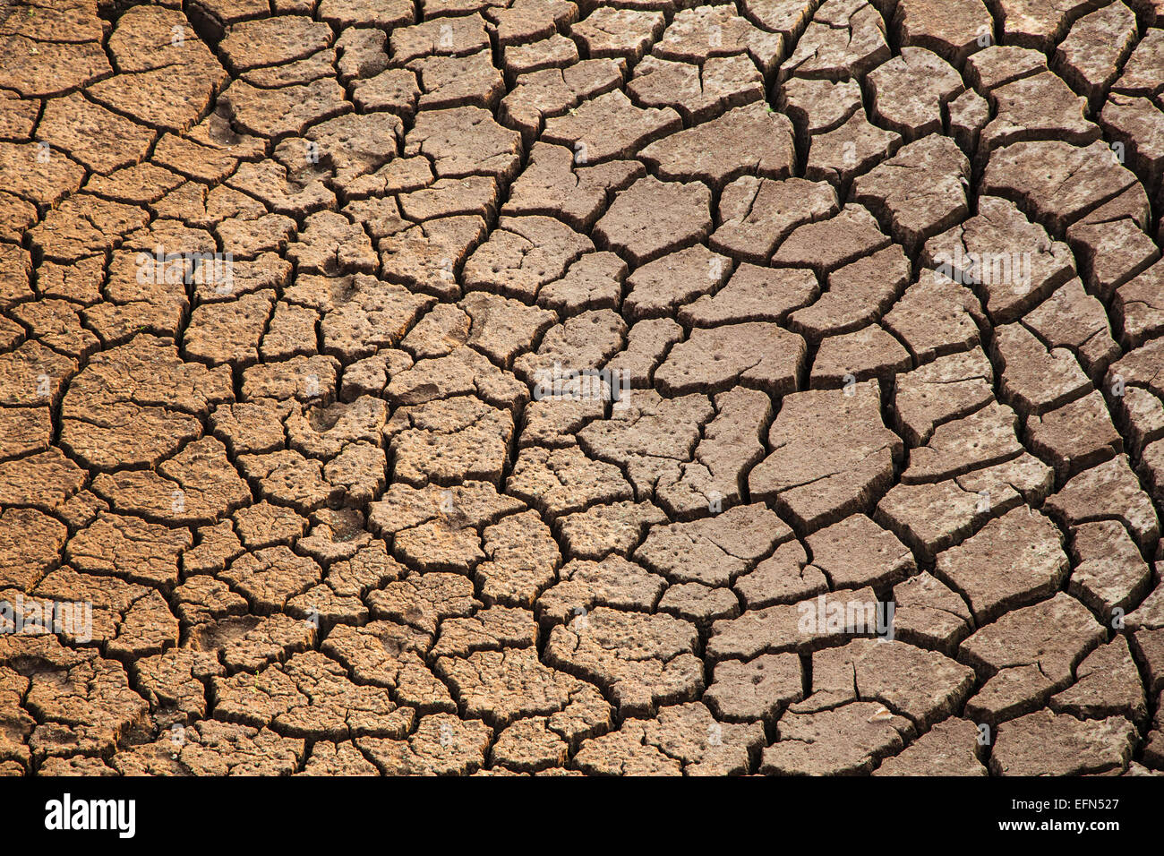 dry cracked ground Stock Photo - Alamy