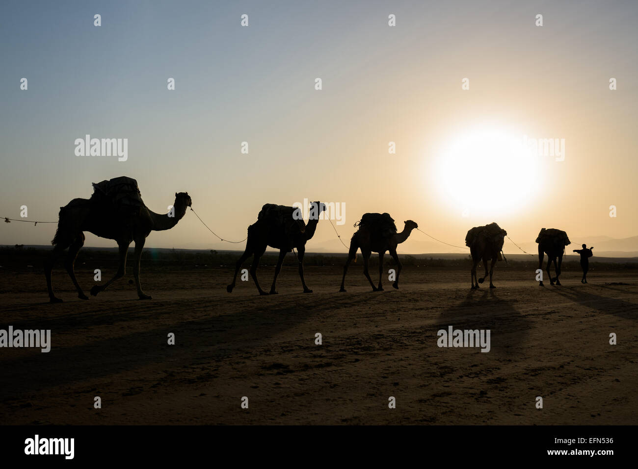 Caravan outline hi-res stock photography and images - Alamy