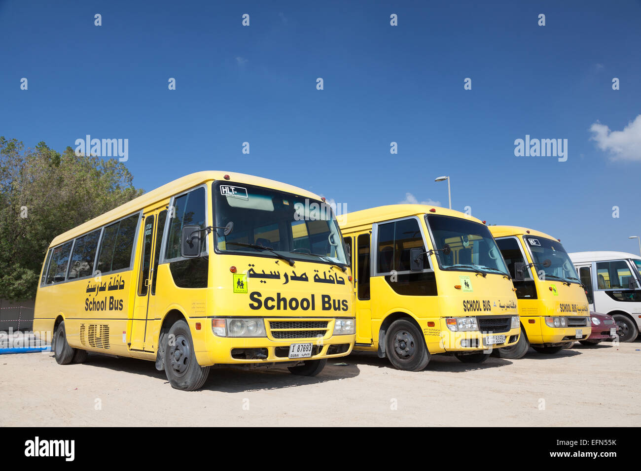 Buses uae hi-res stock photography and images - Alamy