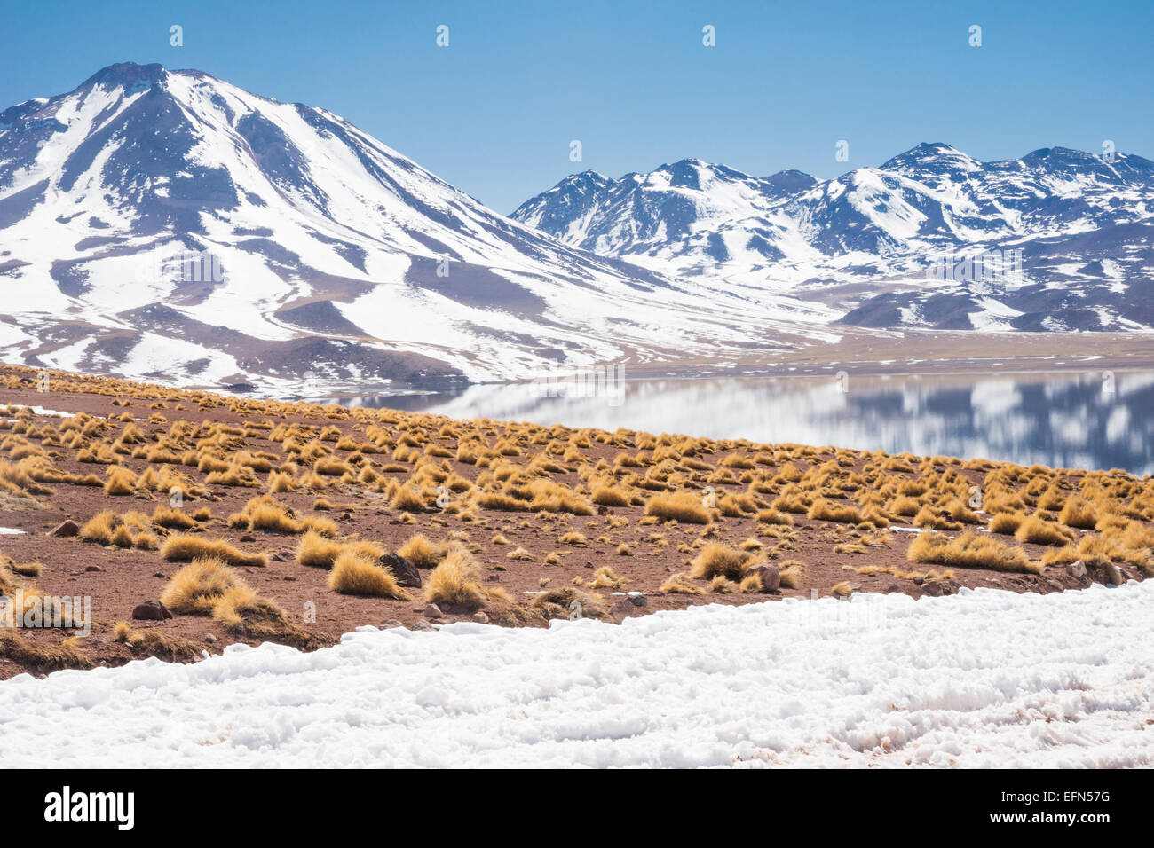 Miniques Volcano and lagoon in San Pedro de Atacama desert, Chile ...