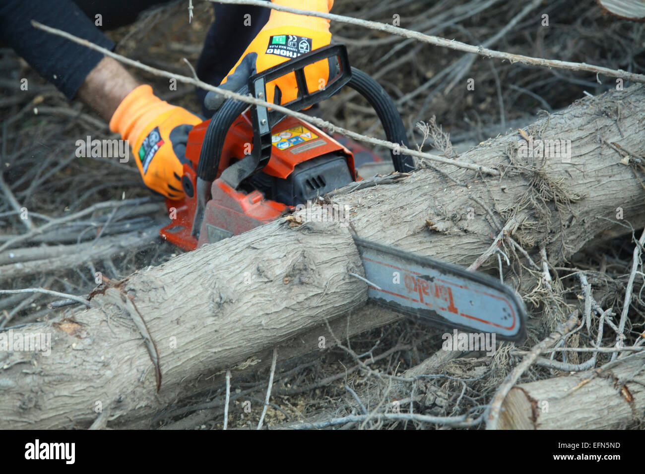 Chain saws hi-res stock photography and images - Alamy