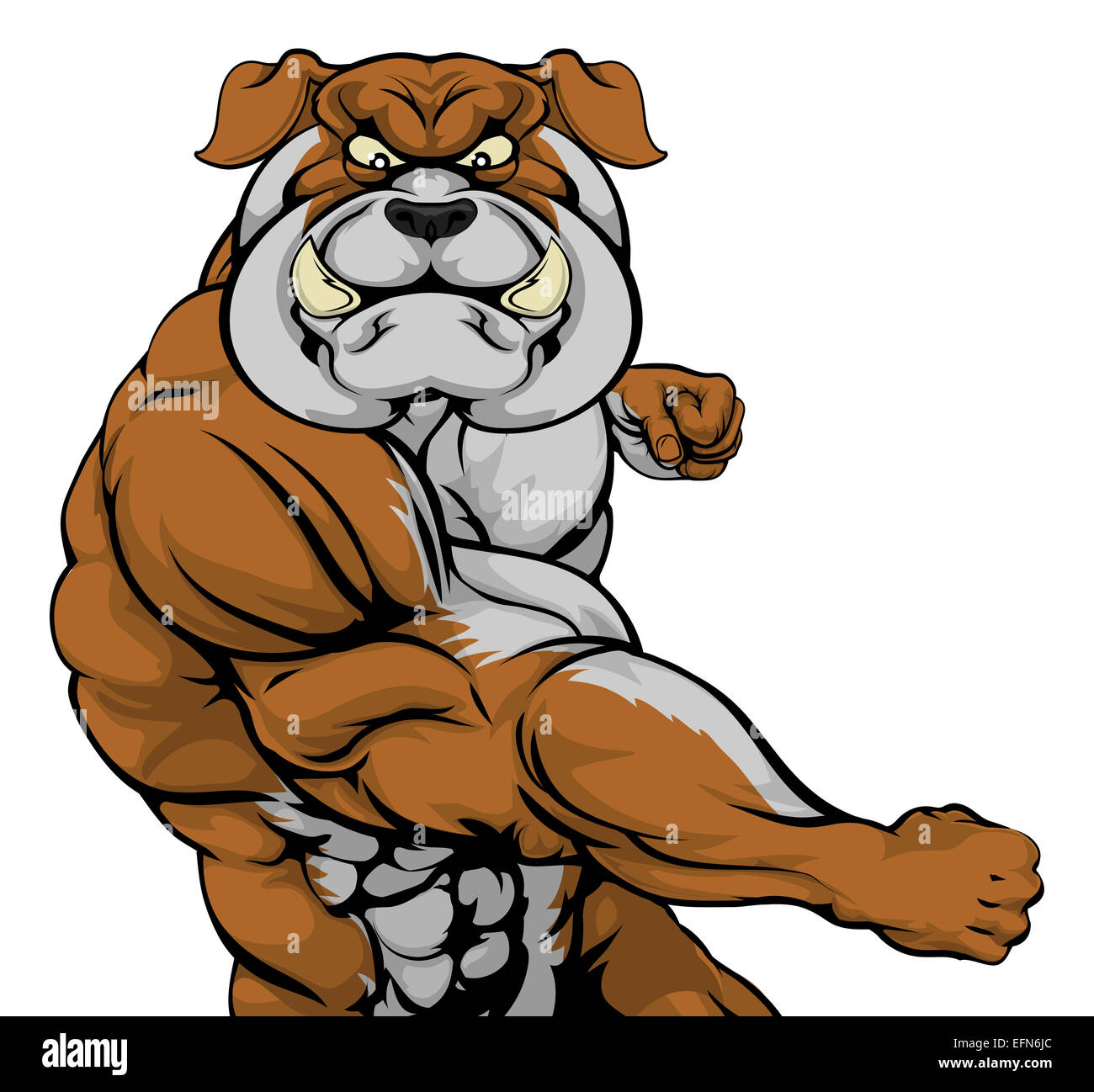 A tough muscular bulldog mascot character in a fight punching Stock ...