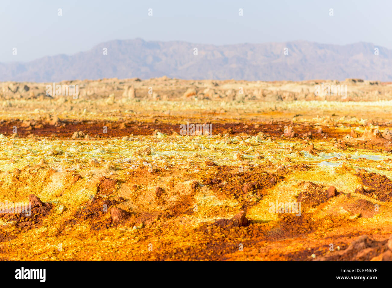 Sulfuric acid pools in Dallol in Ethiopia Stock Photo - Alamy