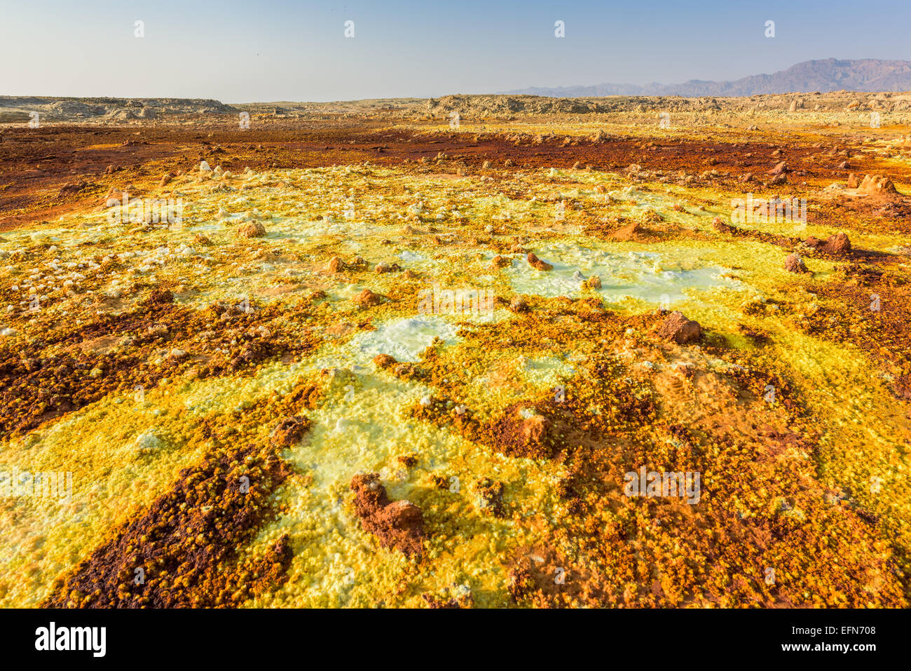 Sulfuric acid pools in Dallol in Ethiopia Stock Photo - Alamy
