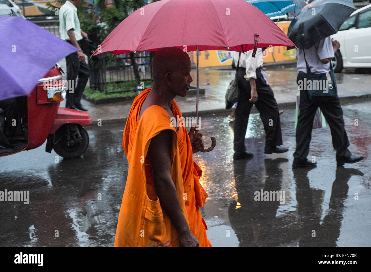 Sri lankan buddhist monk colombo hi-res stock photography and images ...