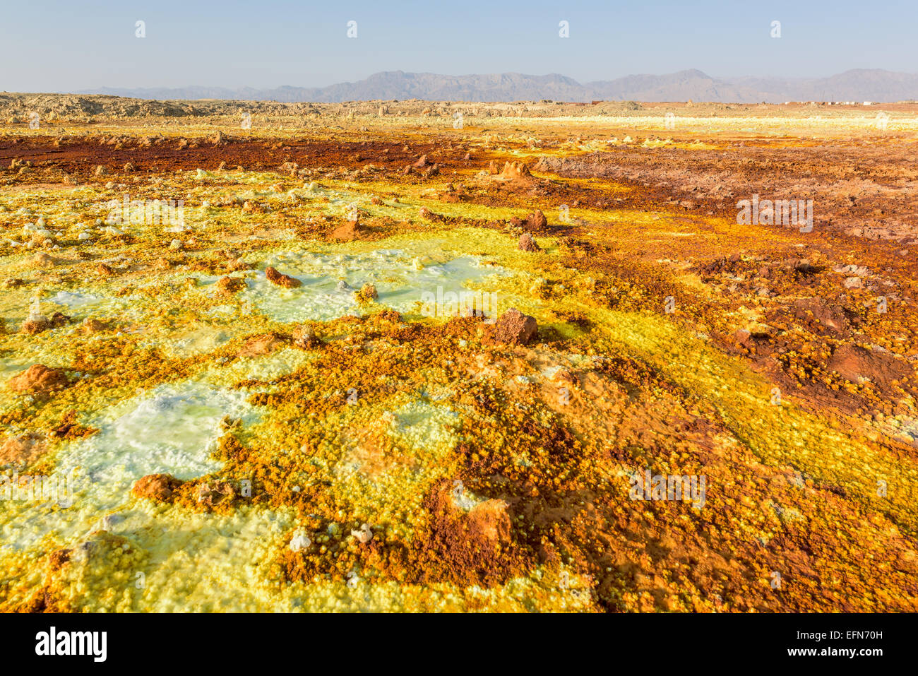 Sulfuric acid pools in Dallol in Ethiopia Stock Photo - Alamy
