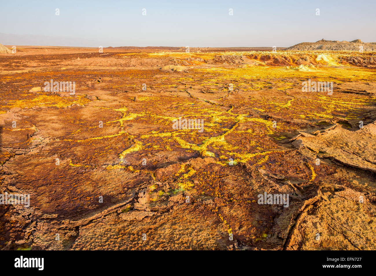 Sulfuric acid pools in Dallol in Ethiopia Stock Photo - Alamy