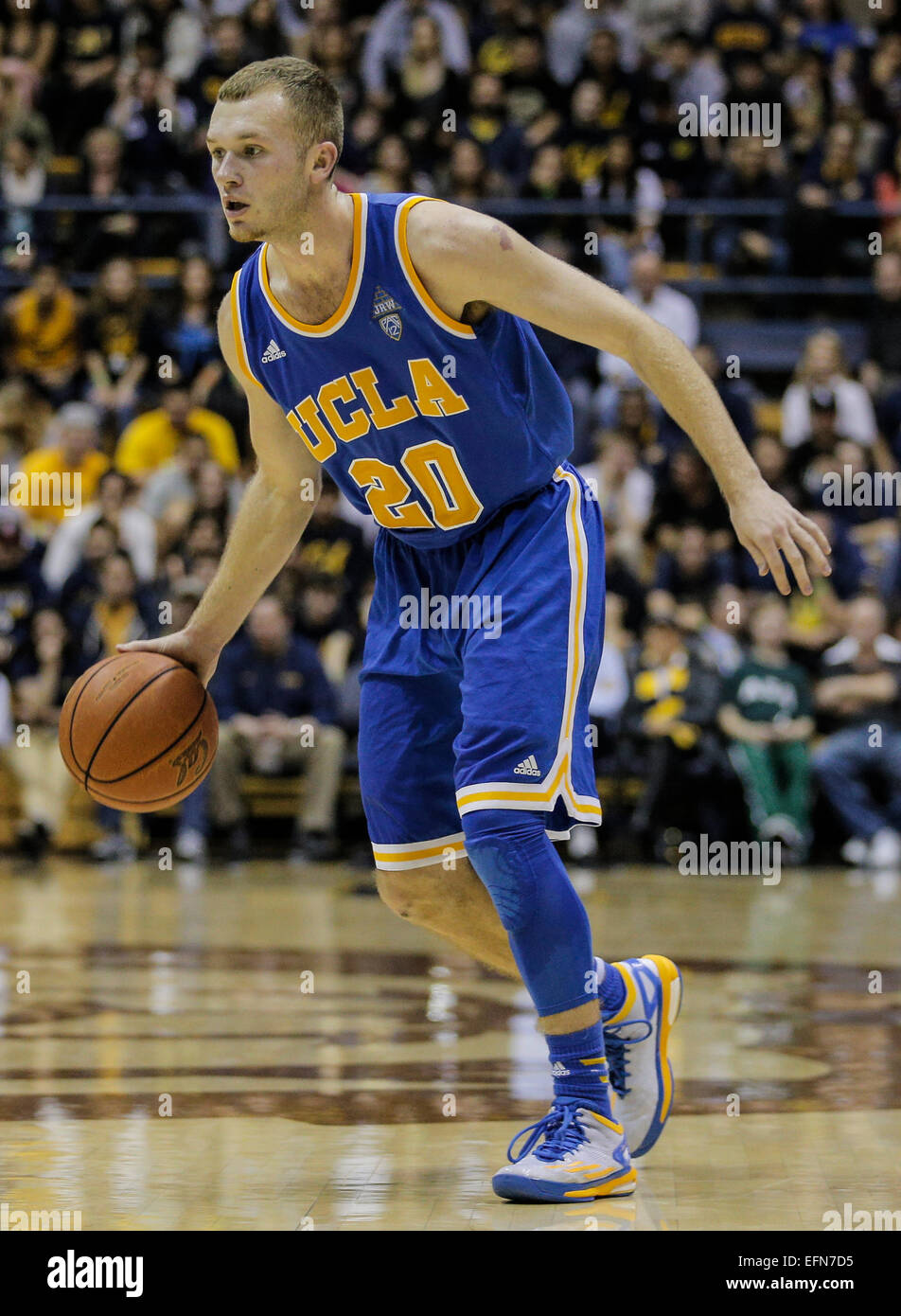 Berkeley CA. 07th Feb, 2015. UCLA G # 20 Bryce Alford at mid court ...