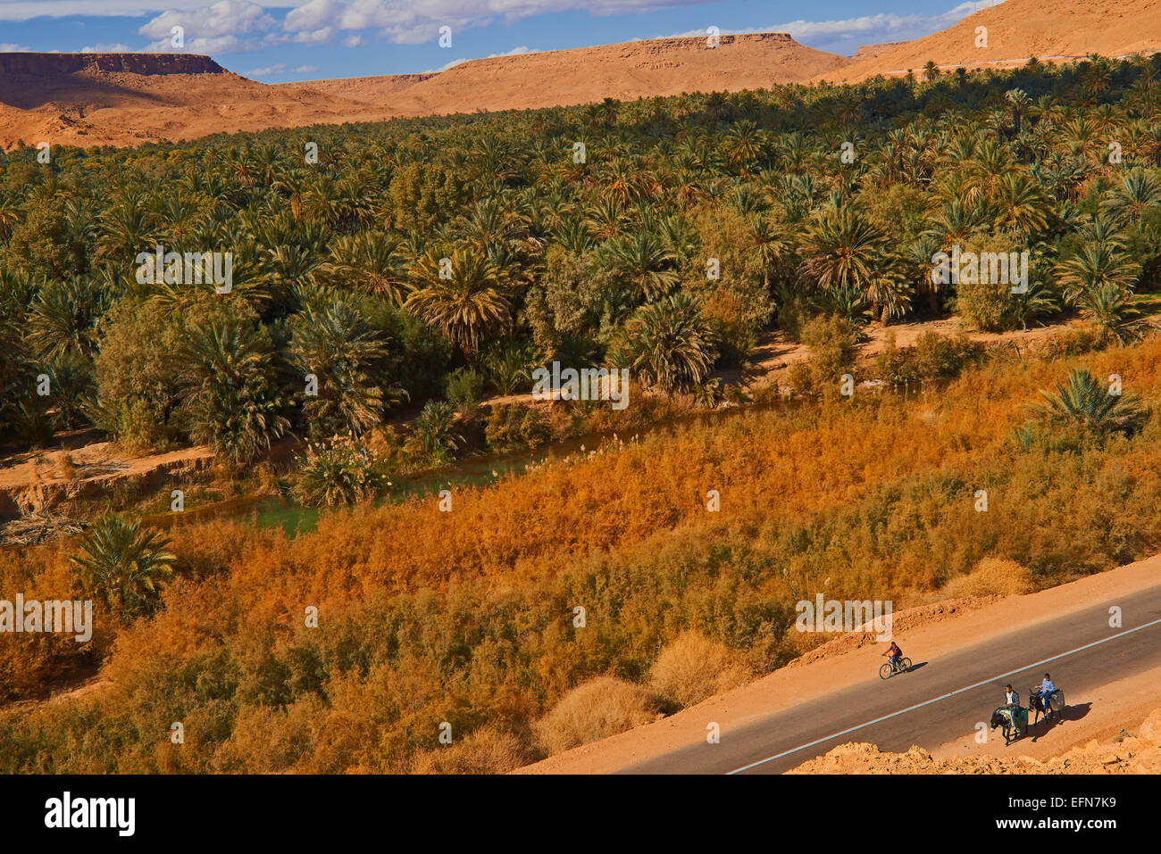 Tafilalet Oasis, Tafilalt Oasis, Ziz River, Gorges du Ziz, Ziz Valley ...
