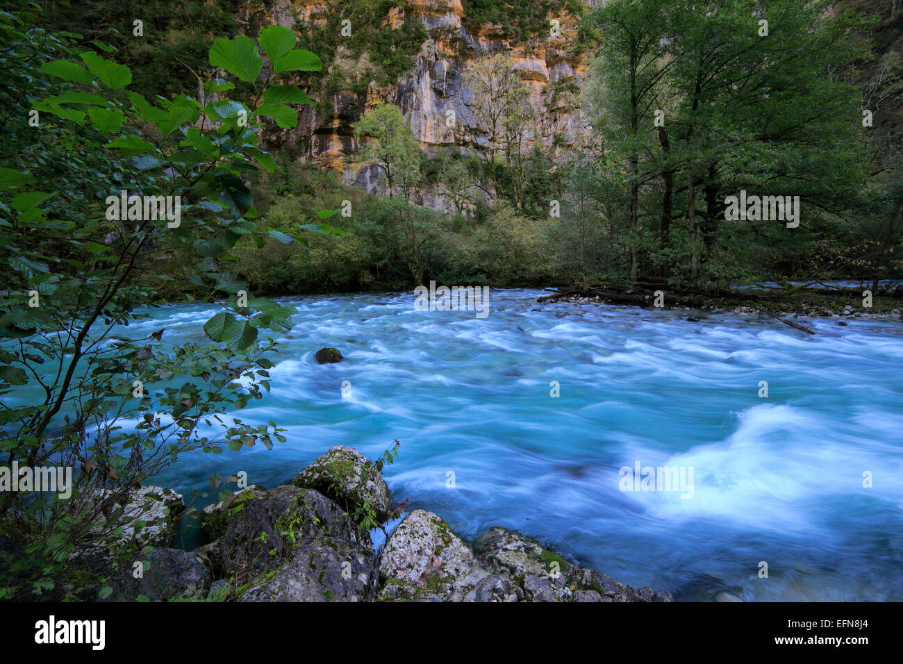 River in Caucasus mountains, Abkhazia, Georgia Stock Photo - Alamy
