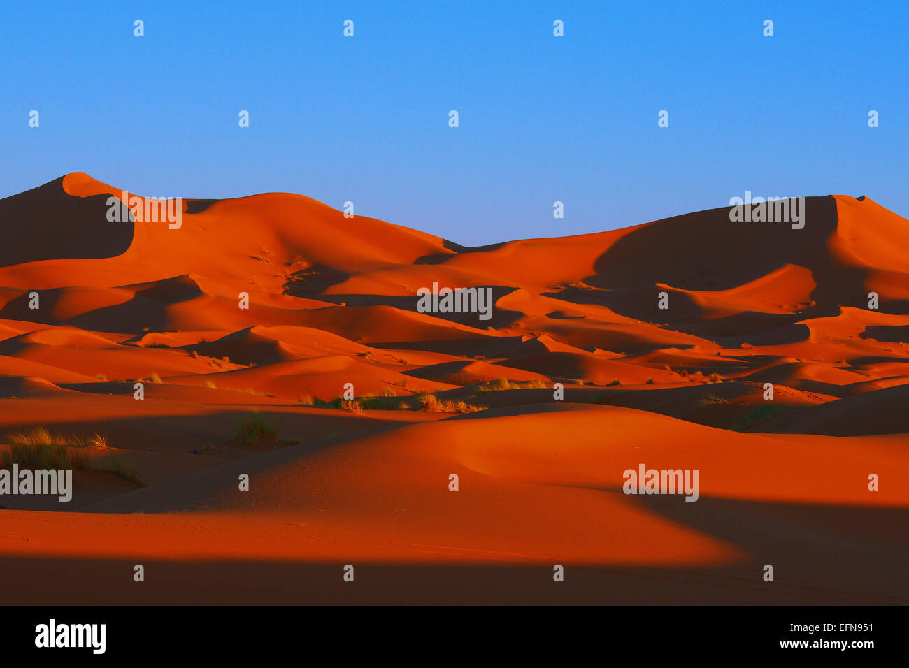 Merzouga, Erg Chebbi, Merzouga sand dunes, Sahara Desert, Morocco ...