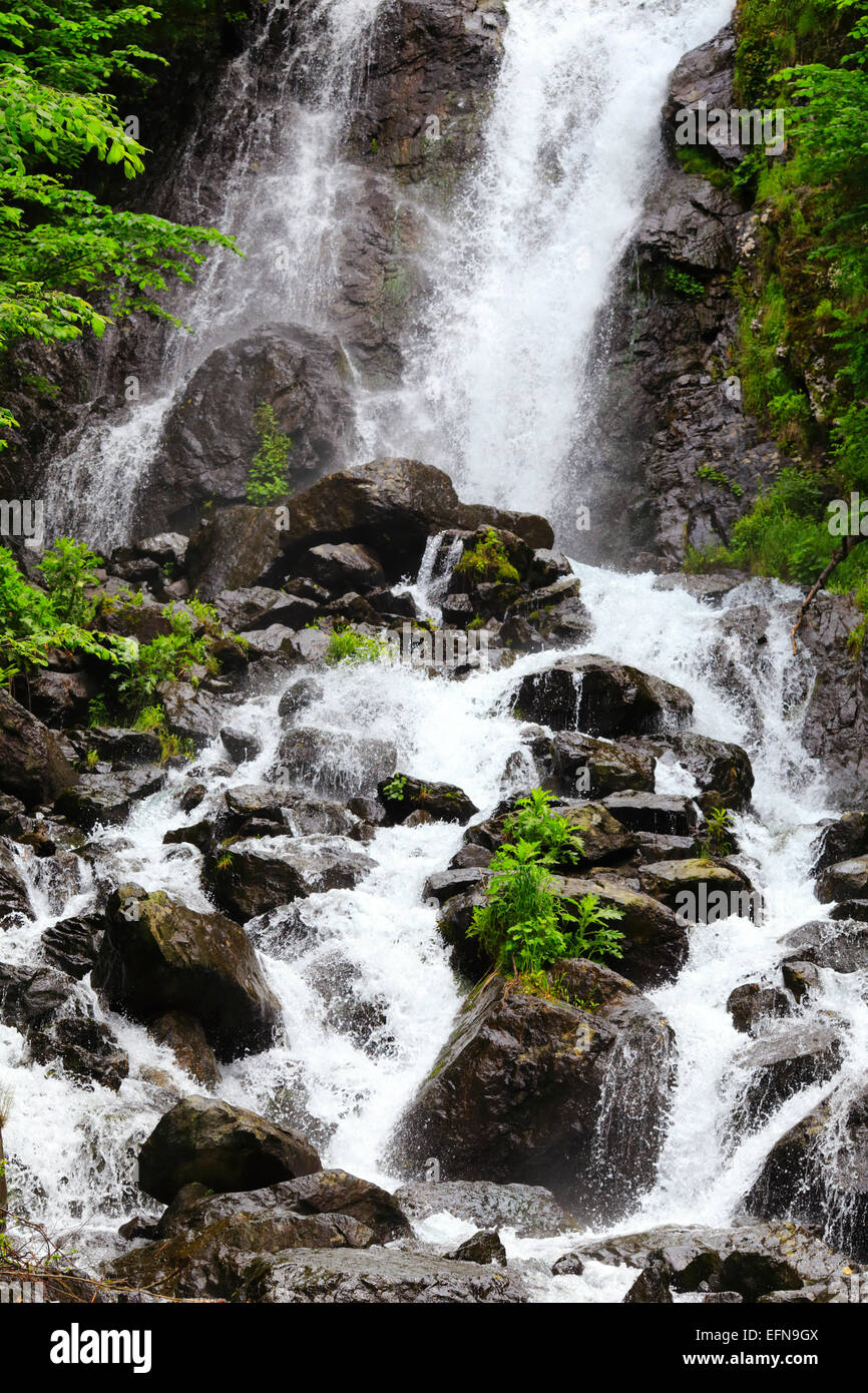 River in Caucasus mountains, near lake Ritsa, Abkhazia, Georgia Stock ...