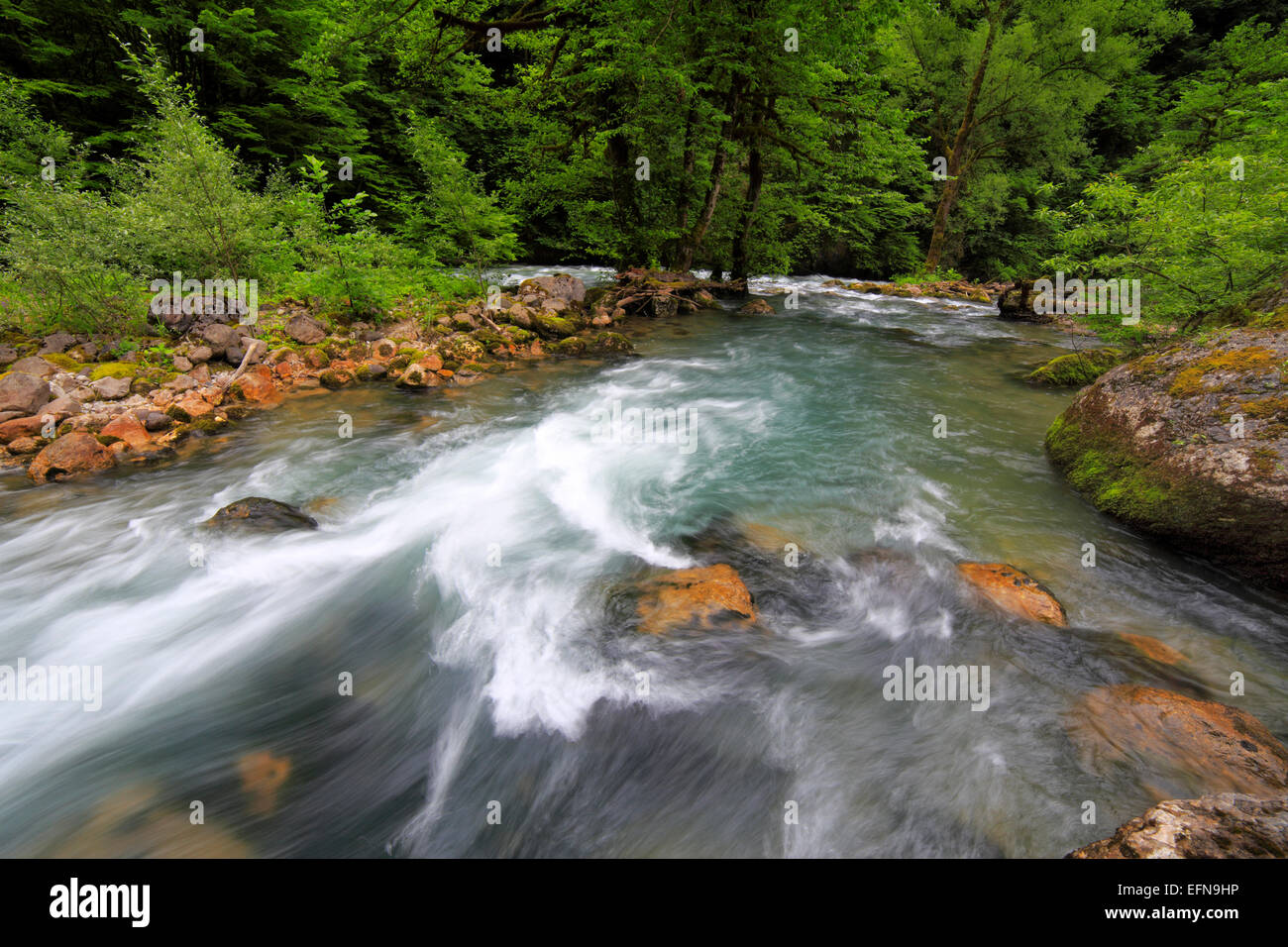 River in Caucasus mountains, near lake Ritsa, Abkhazia, Georgia Stock ...