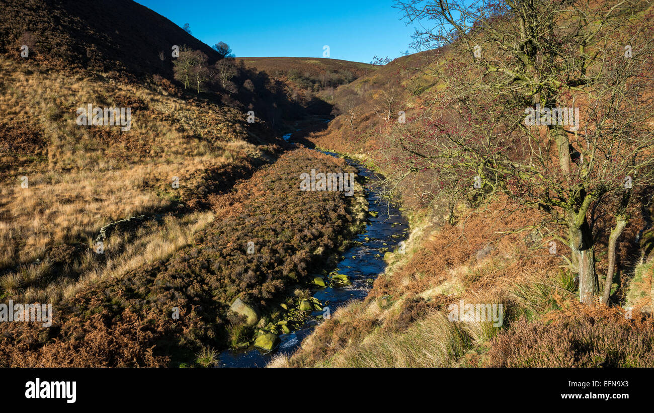 Autumn moorland hi-res stock photography and images - Alamy