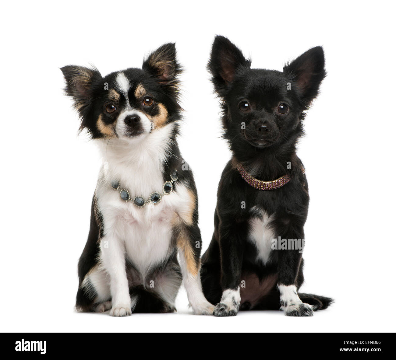 Photo next Cut Out Stock Images & Pictures - Alamy