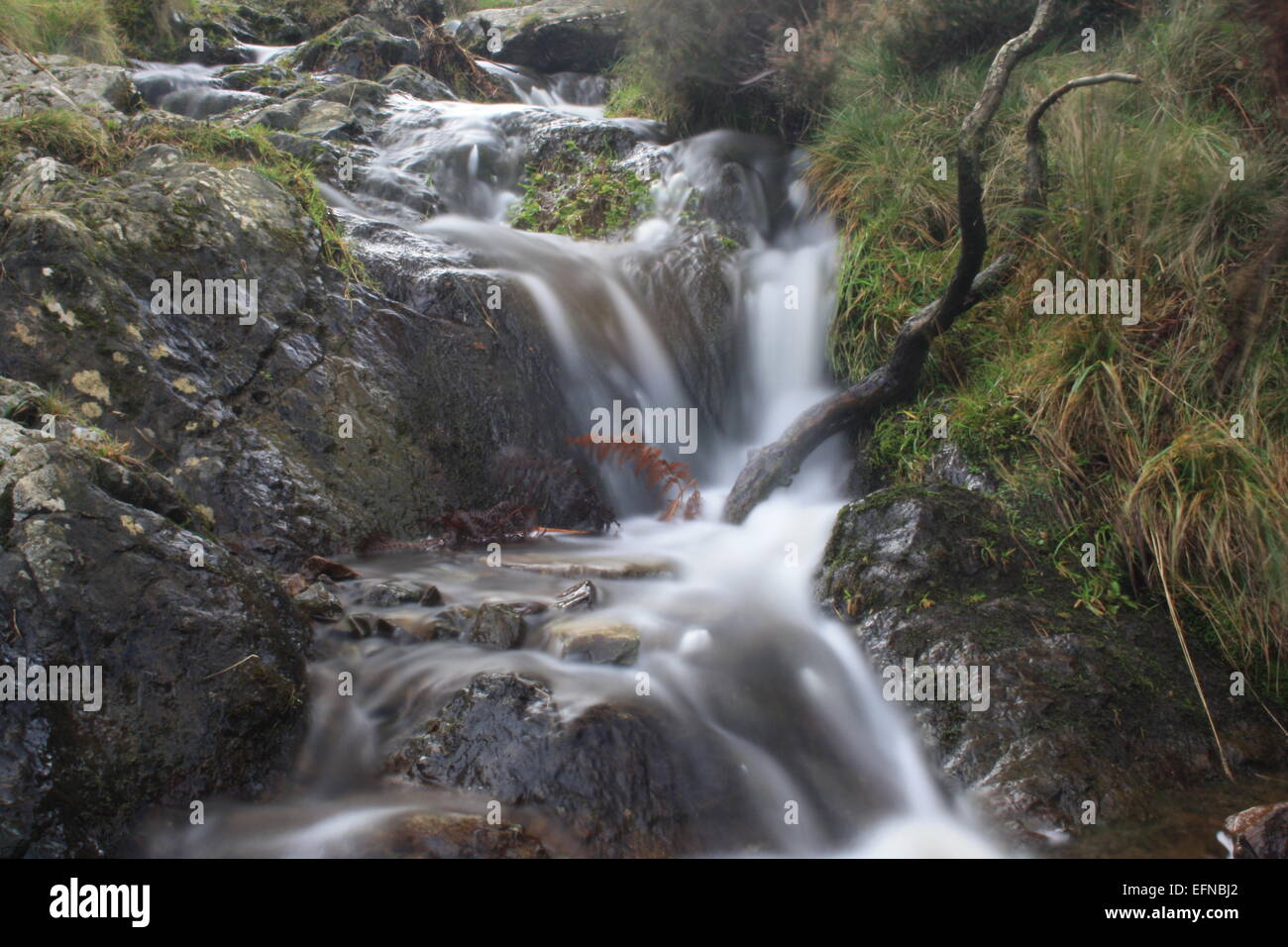 Cardingmill hi-res stock photography and images - Alamy