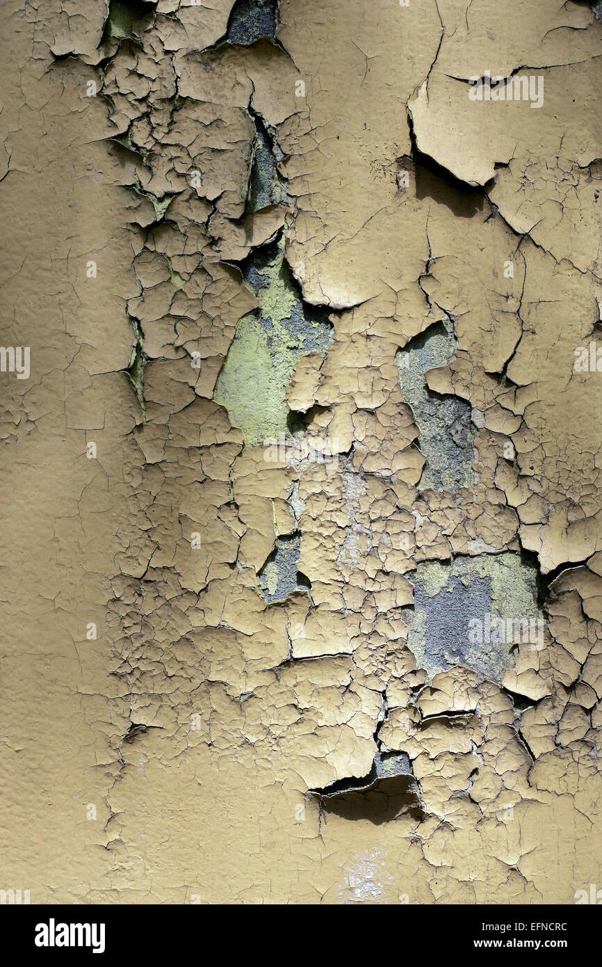 Full screen high resolution shot of old wall. Good for a texture or a ...