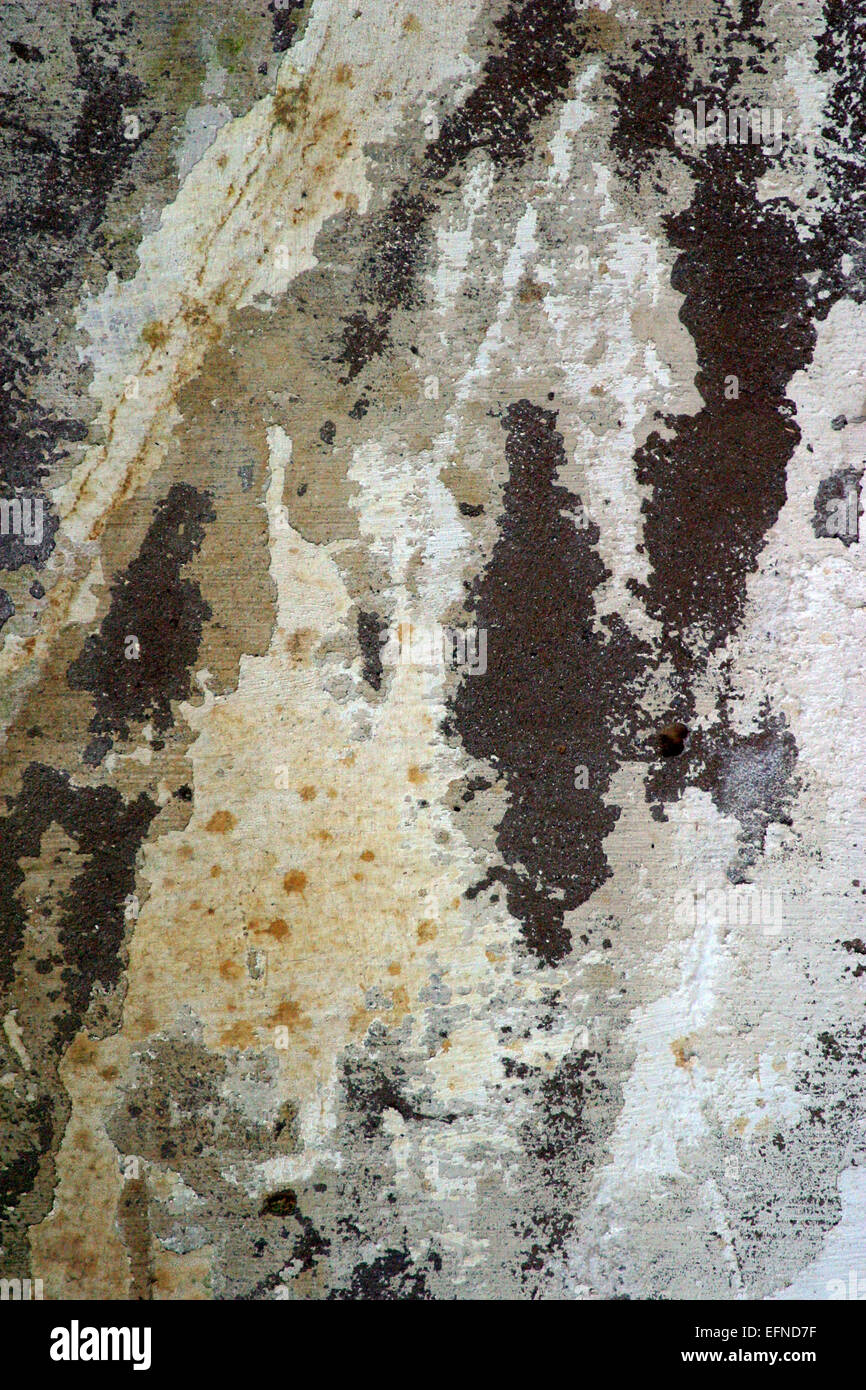 Full screen high resolution shot of wall. Good for a texture or a ...