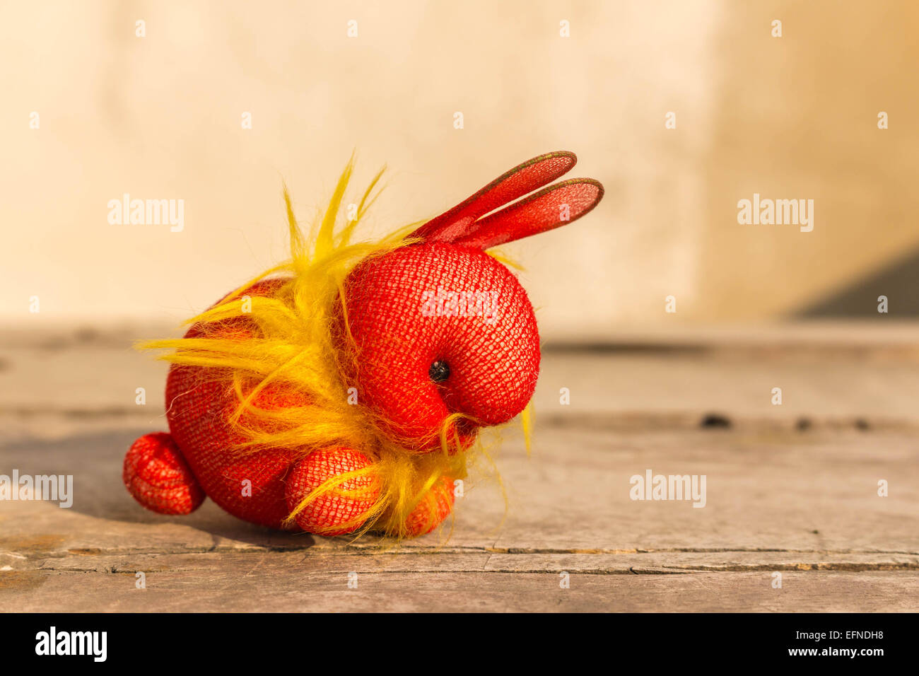 Rabbit on the floor hi-res stock photography and images - Alamy