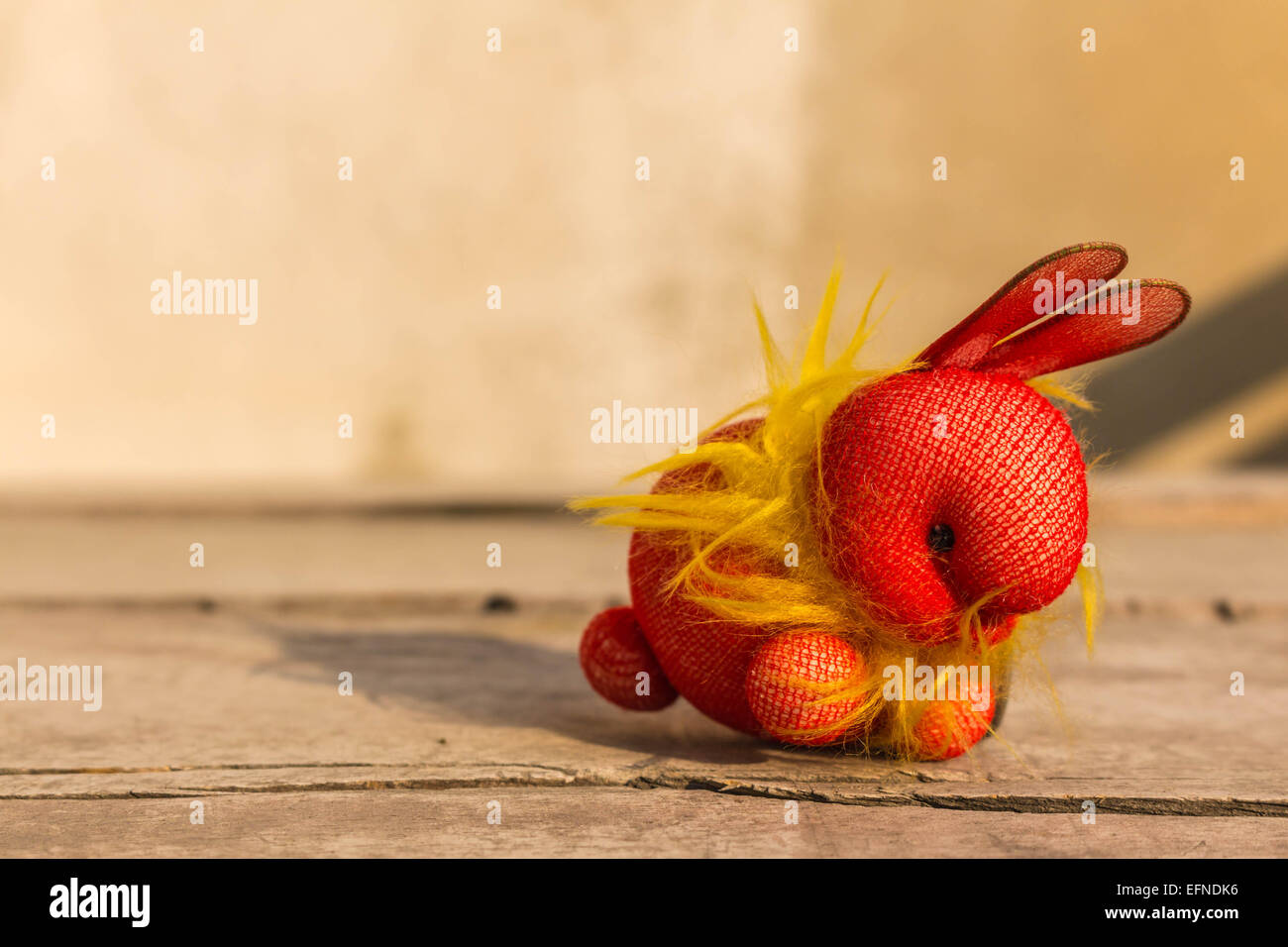 Rabbit on the floor hi-res stock photography and images - Alamy