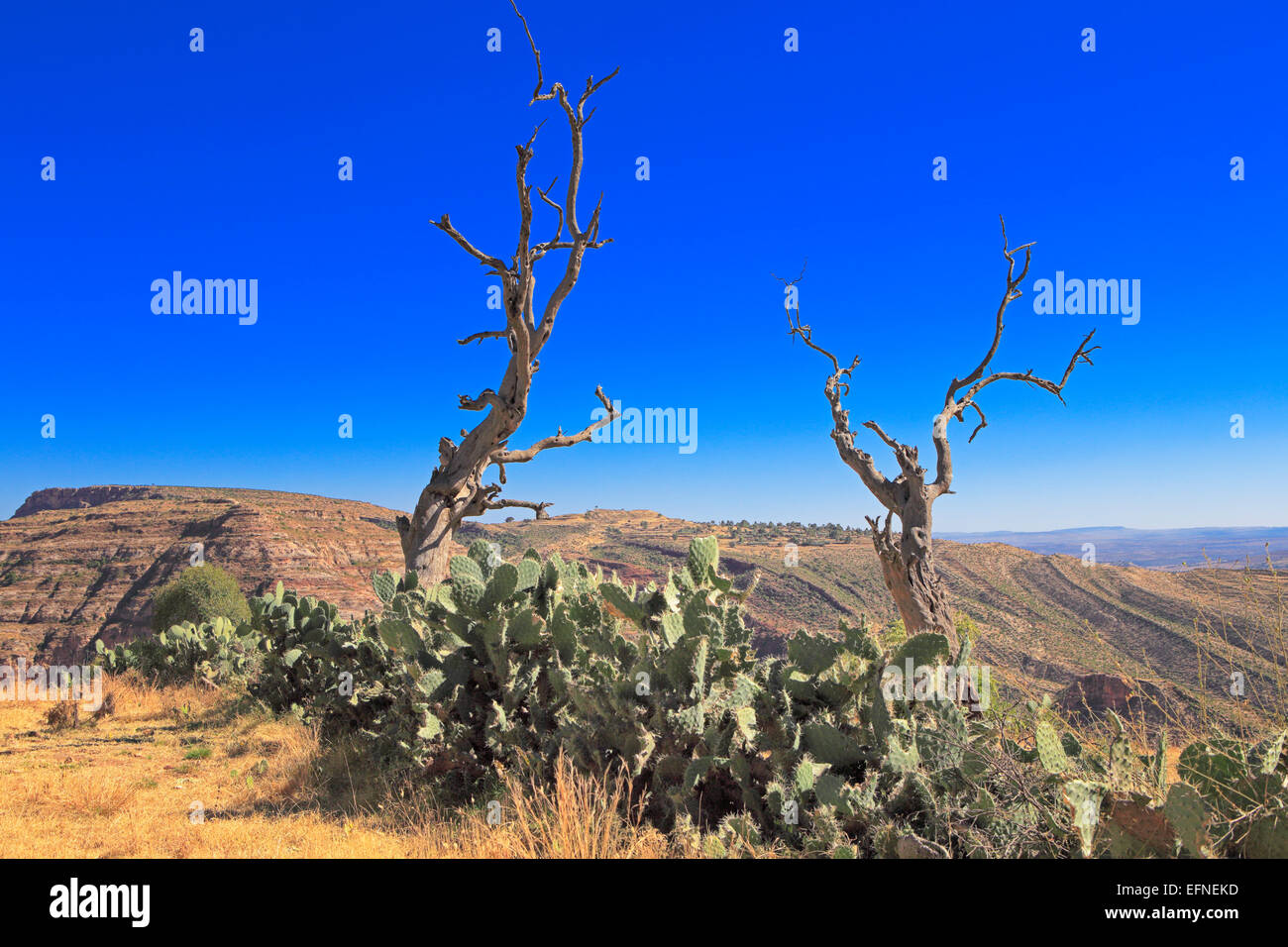Gheralta mountains, Degum village, Tigray region, Ethiopia Stock Photo ...