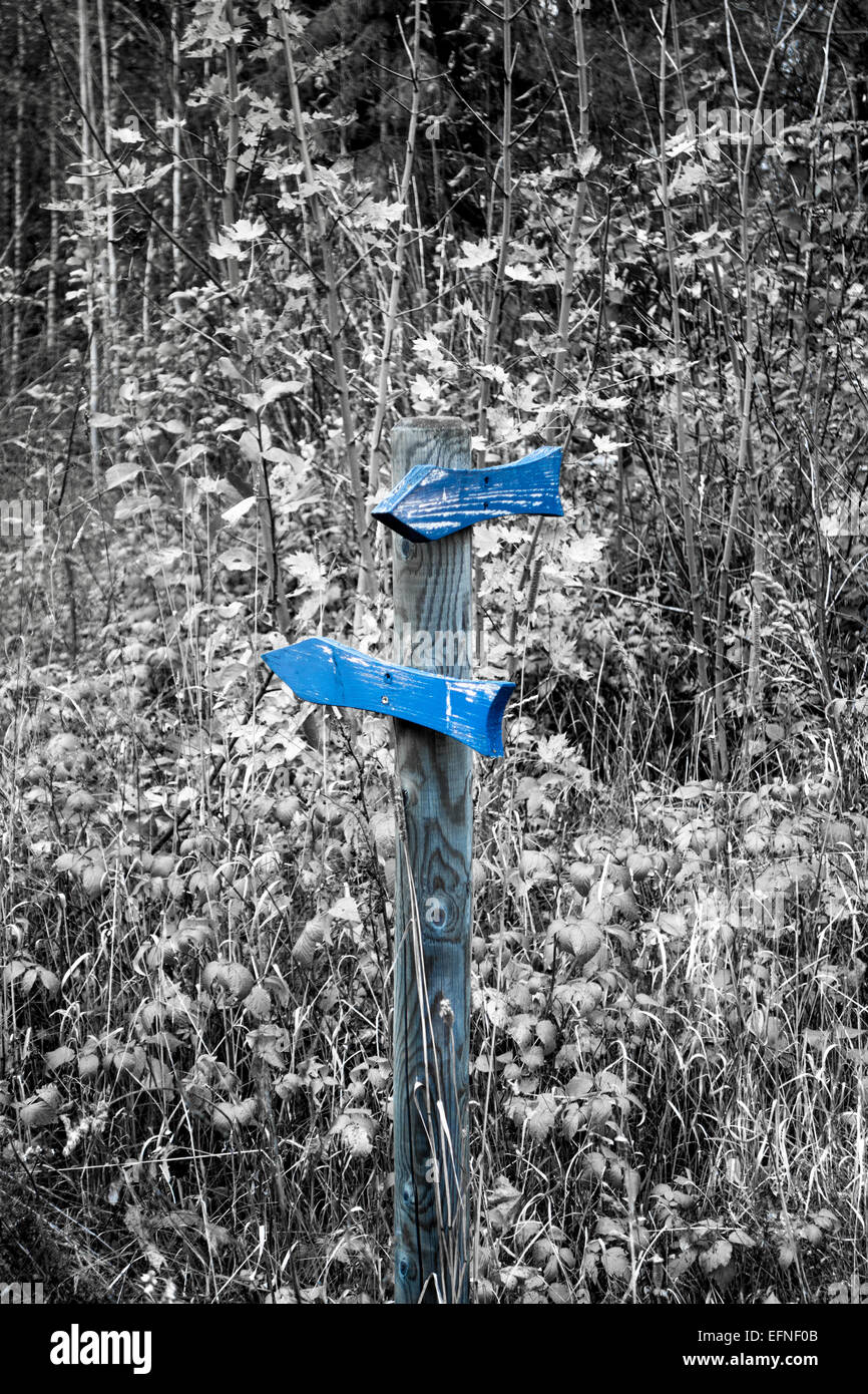 Blue trail marker arrows Stock Photo - Alamy