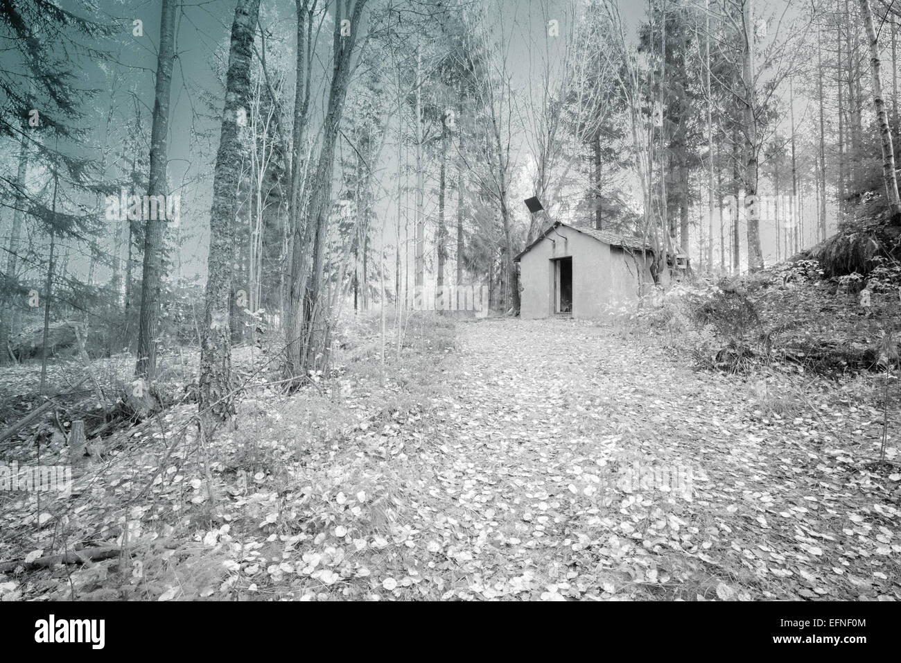 Old abandoned mining hut in the woods Stock Photo - Alamy