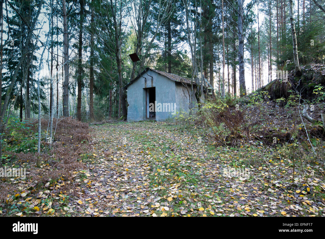 Old Mining Hut Stock Photos & Old Mining Hut Stock Images - Alamy