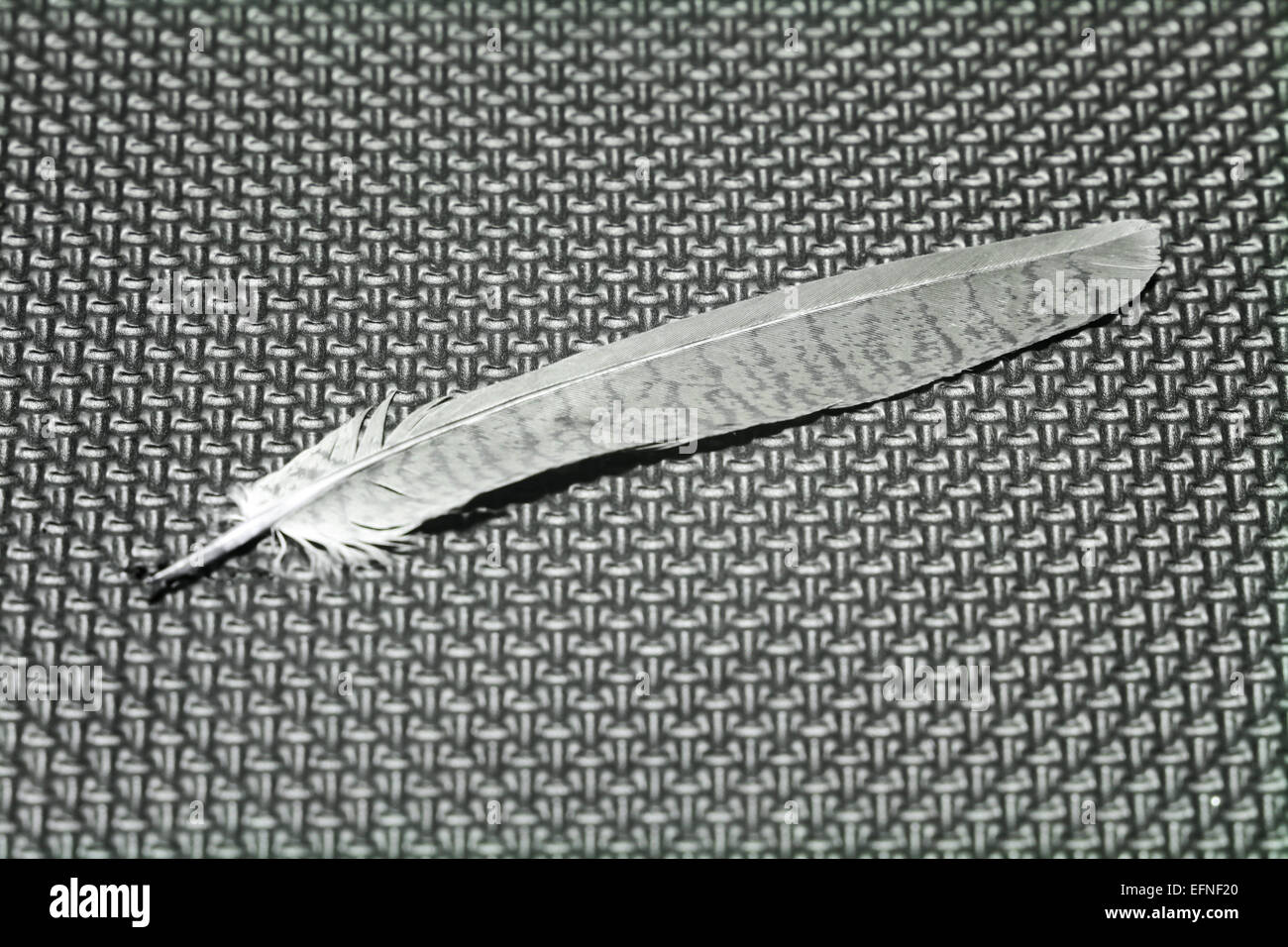 Feather ir block hi-res stock photography and images - Alamy