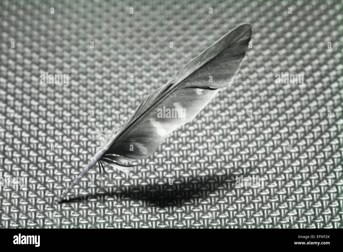 Feather ir block hi-res stock photography and images - Alamy