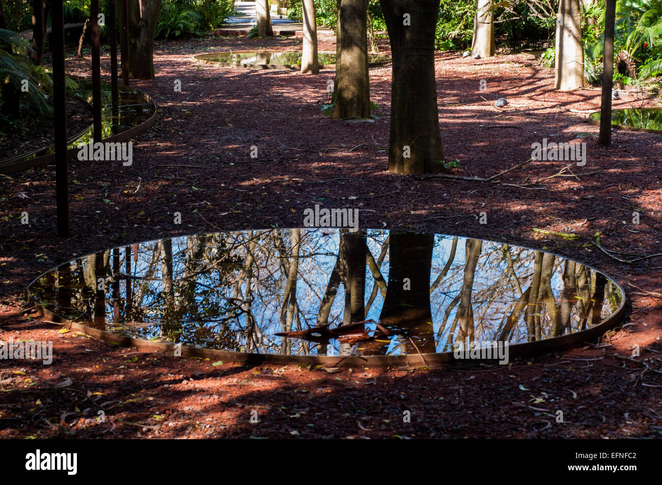 Tree surrounded by water hi-res stock photography and images - Alamy