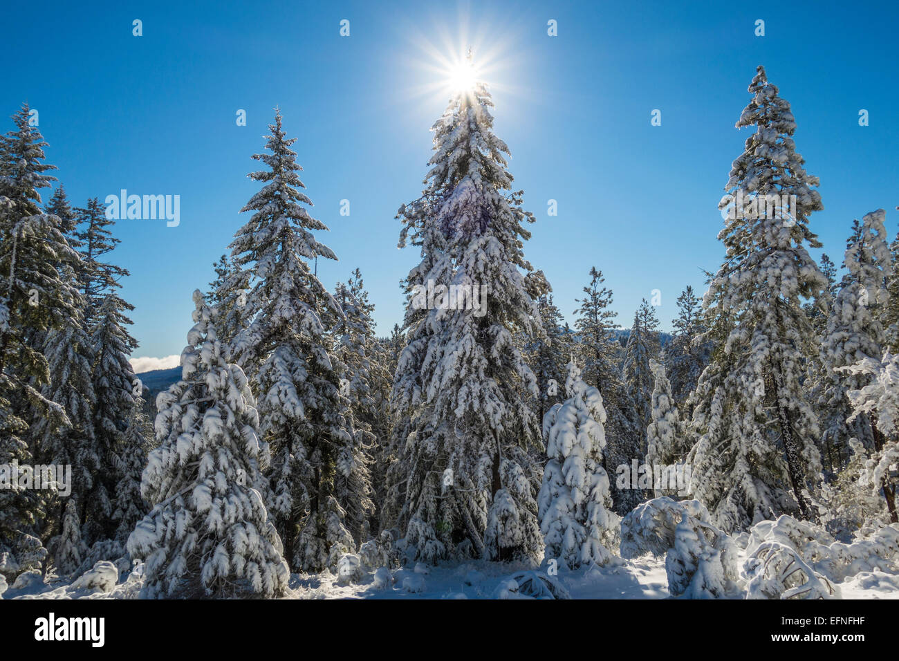 Winter landscape in the southern Cascade mountains of Oregon Stock ...