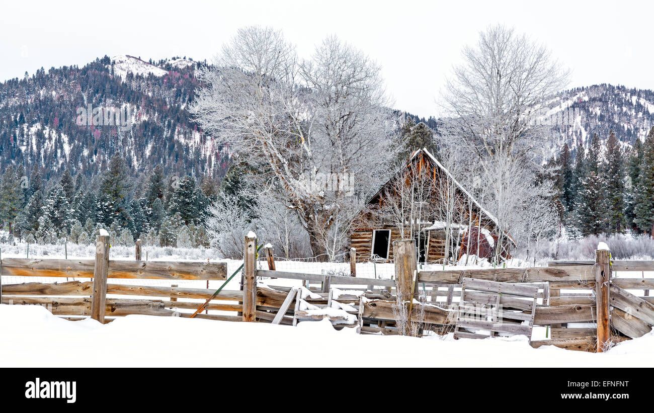 Corral for cattle hi-res stock photography and images - Alamy