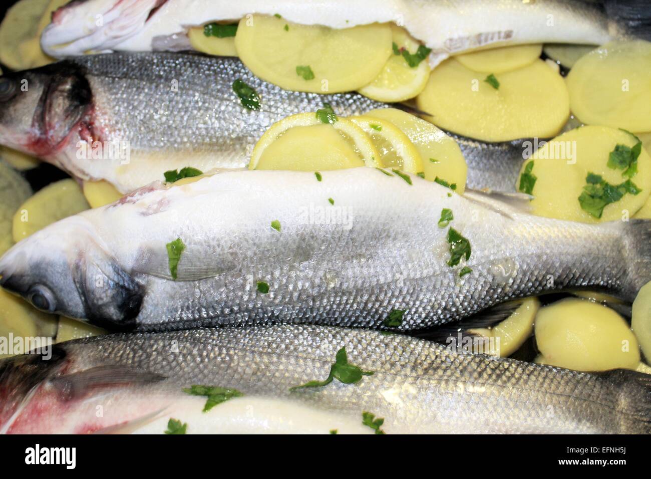 Raw seabass fish with parsley filled with potatoes and lemon ready for ...