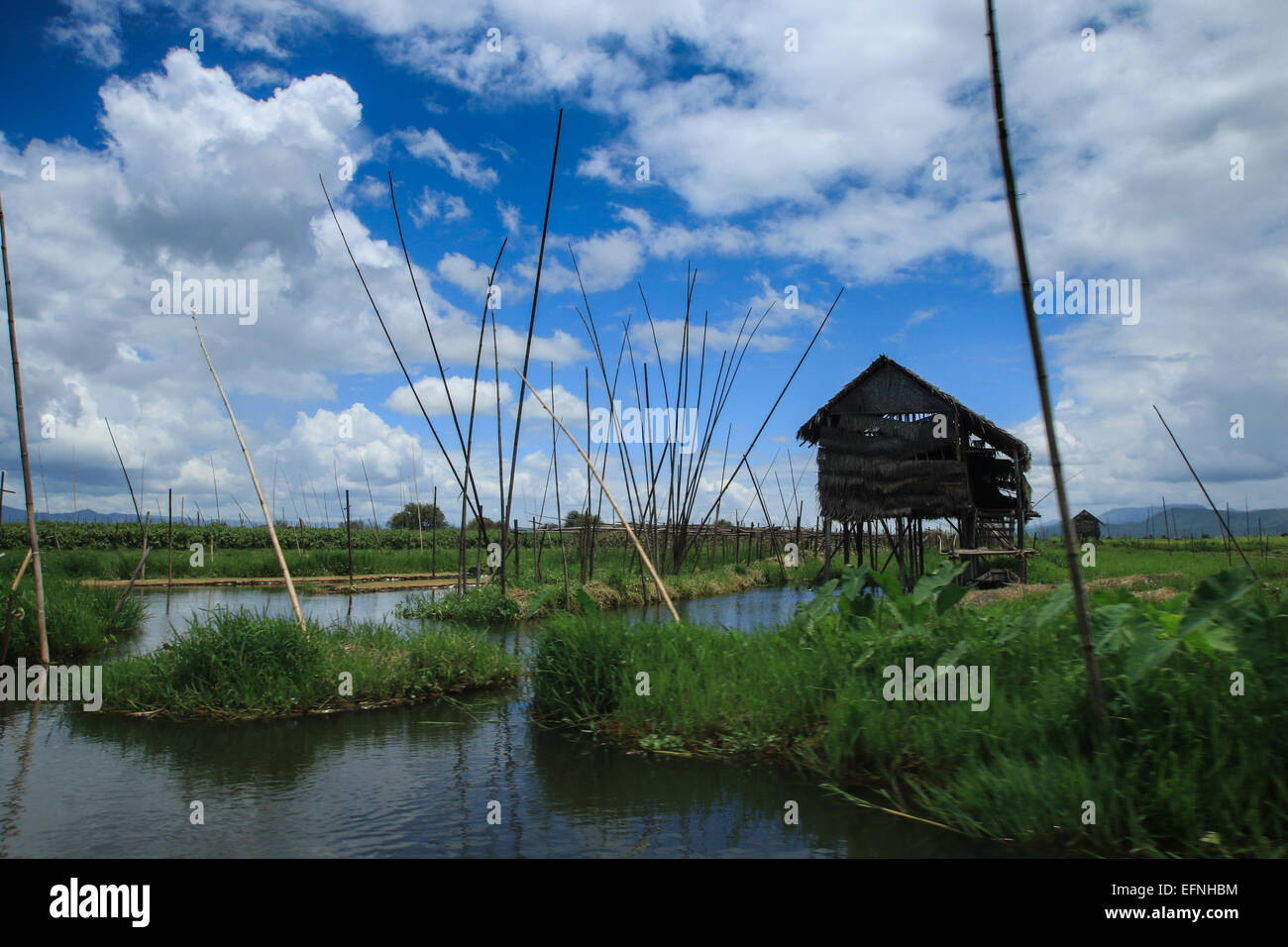 House on Stilts Stock Photo - Alamy