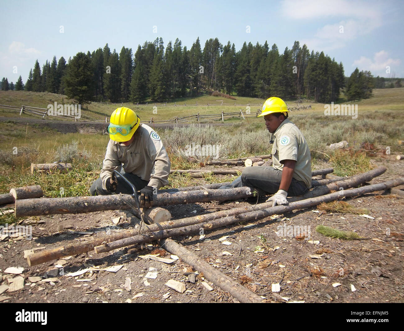 A photograph from the second year of the Yellowstone Conservation Corps ...