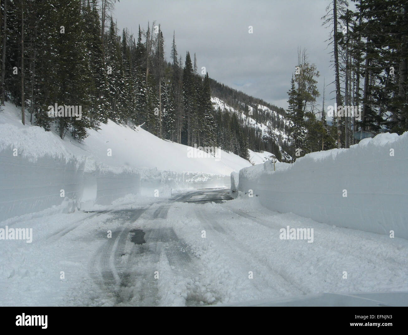 Spring plowing operations occur on Sylvan Pass in Yellowstone National ...