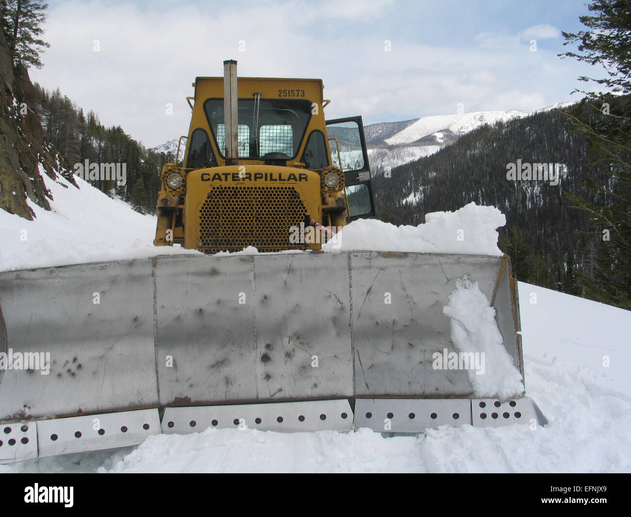 Cat vehicle hi-res stock photography and images - Alamy