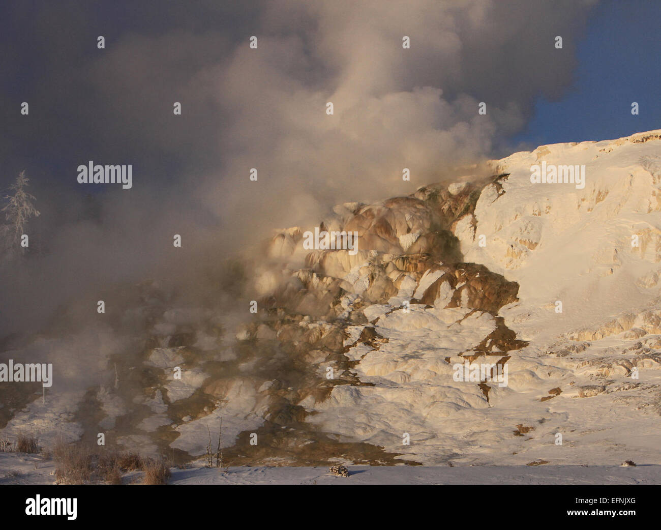 Canary Spring, a geothermal feature at Mammoth Hot Springs in ...