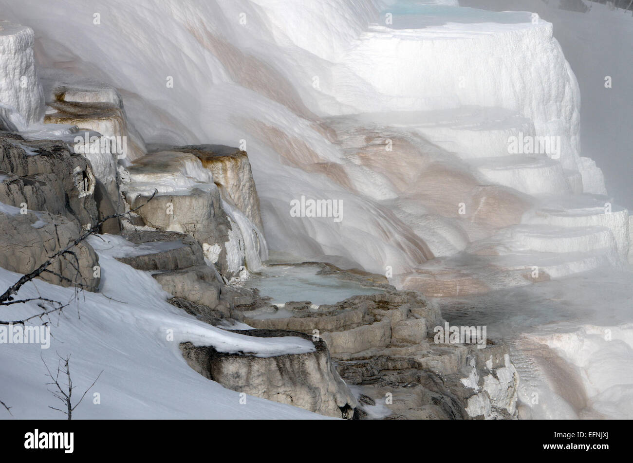 Canary Spring at Mammoth Hot Springs in Yellowstone National Park ...