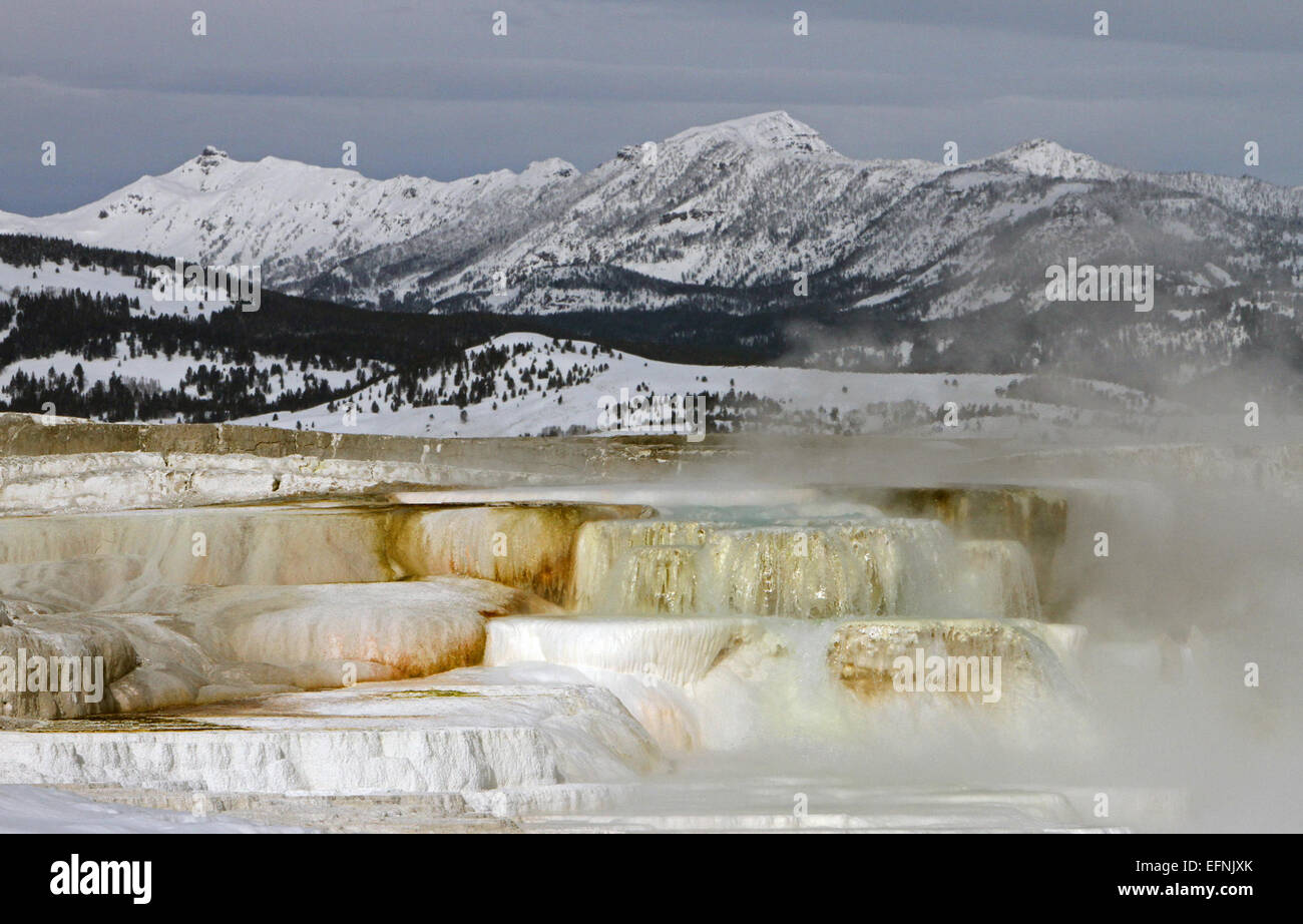 Canary Spring at Mammoth Hot Springs in Yellowstone National Park ...
