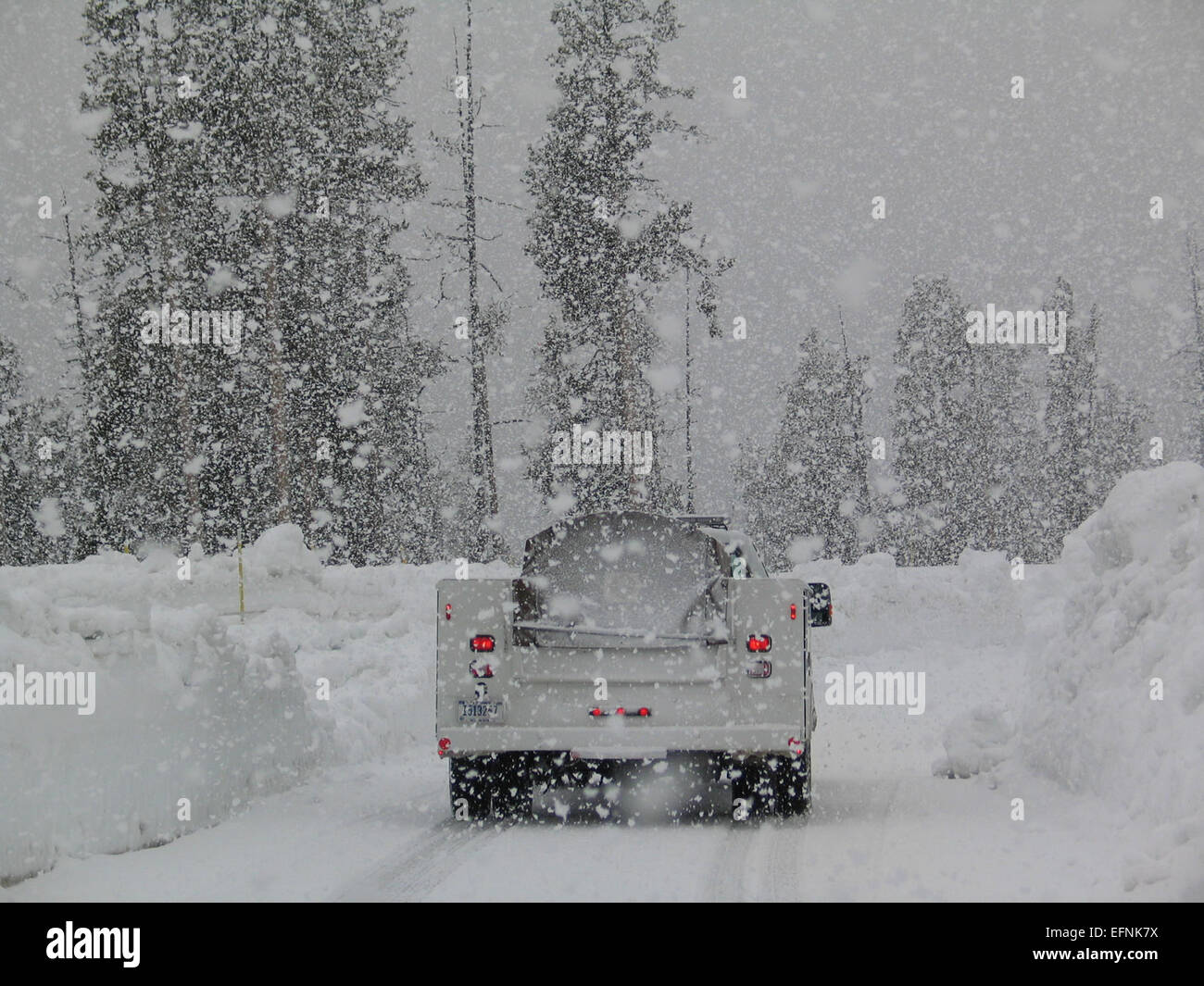 Spring plowing along Craig Pass in Yellowstone National Park, captured ...
