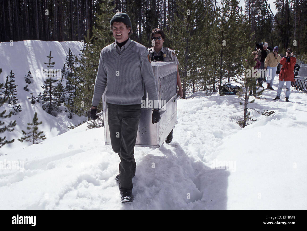 Doug Smith and Pat Peralez carrying a wolf crate in Yellowstone ...