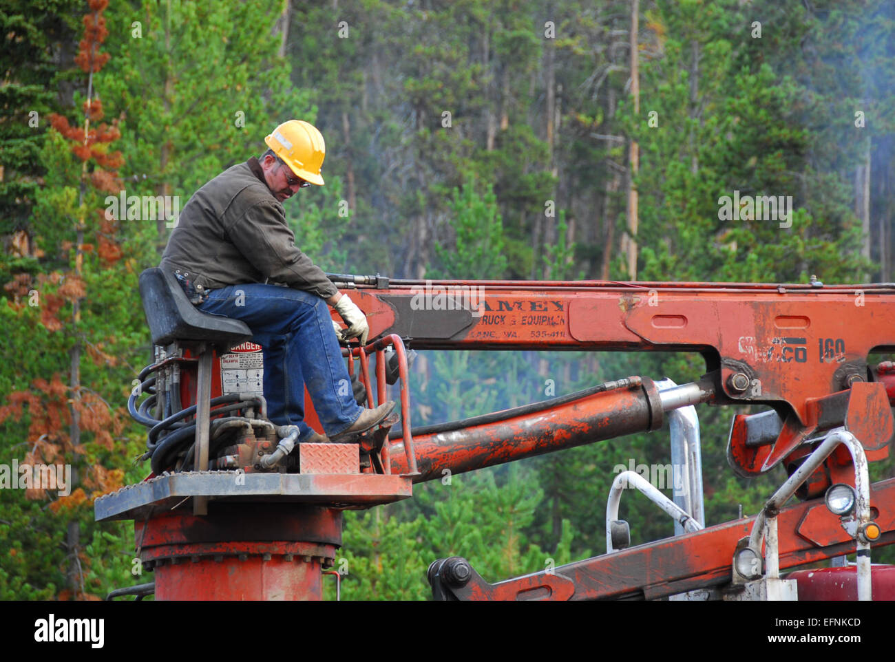 An image from the Druid Complex wildfire in Yellowstone National Park ...
