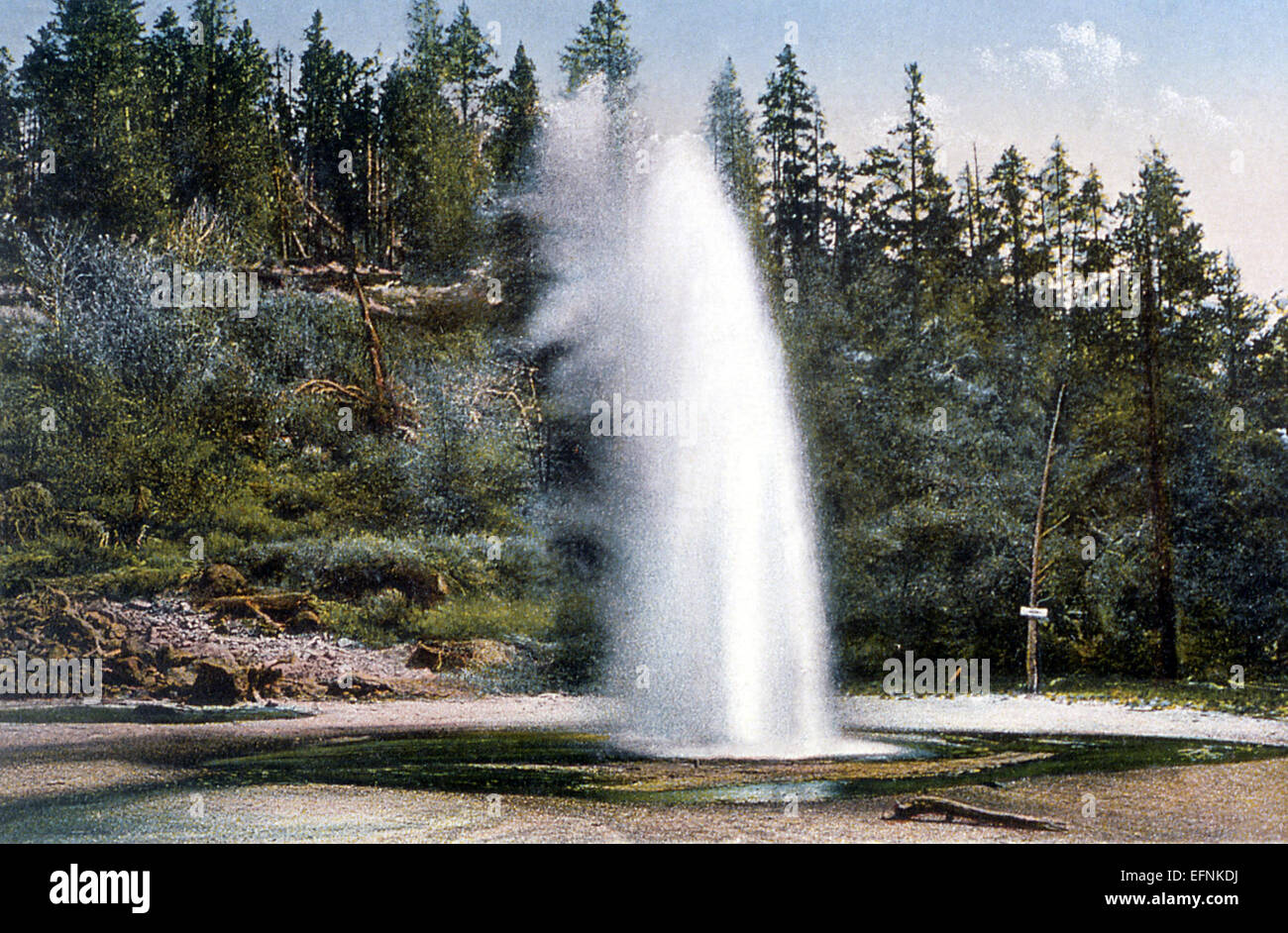 Economy Geyser, located in Yellowstone National Park, is captured in ...